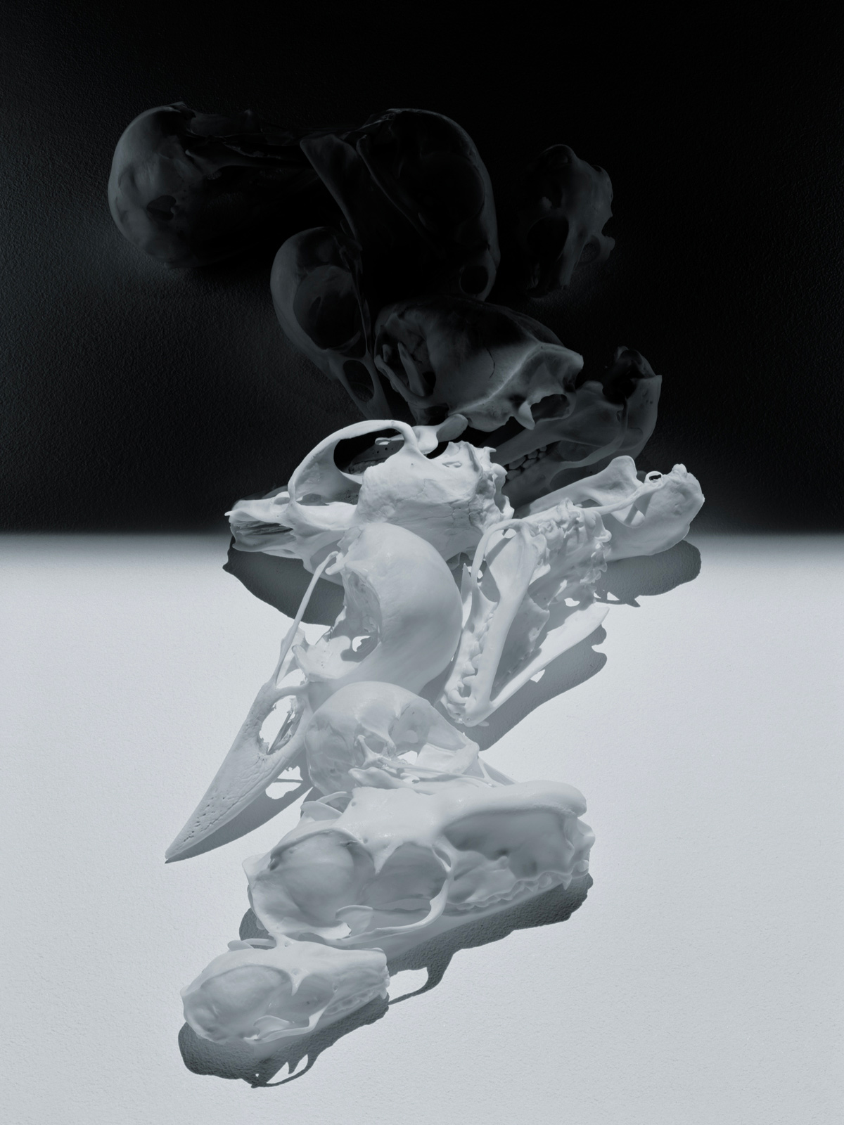 Dan Tobin Smith is ‘the bone collector’