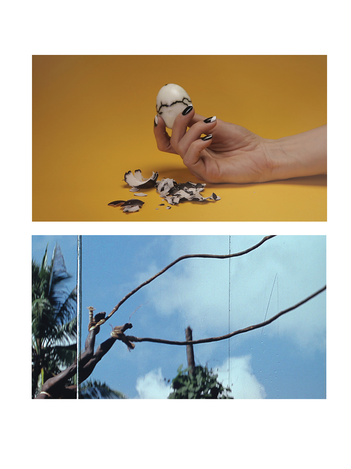 Camille Henrot merges anthropology and analog for ‘Grosse Fatigue’