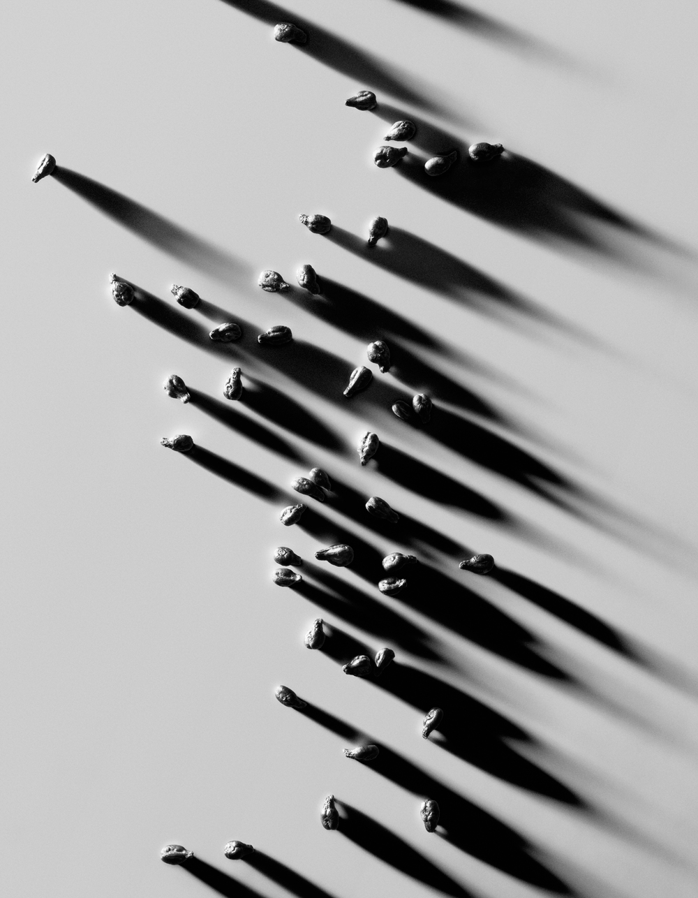 Robin Broadbent’s Inanimate Portraits