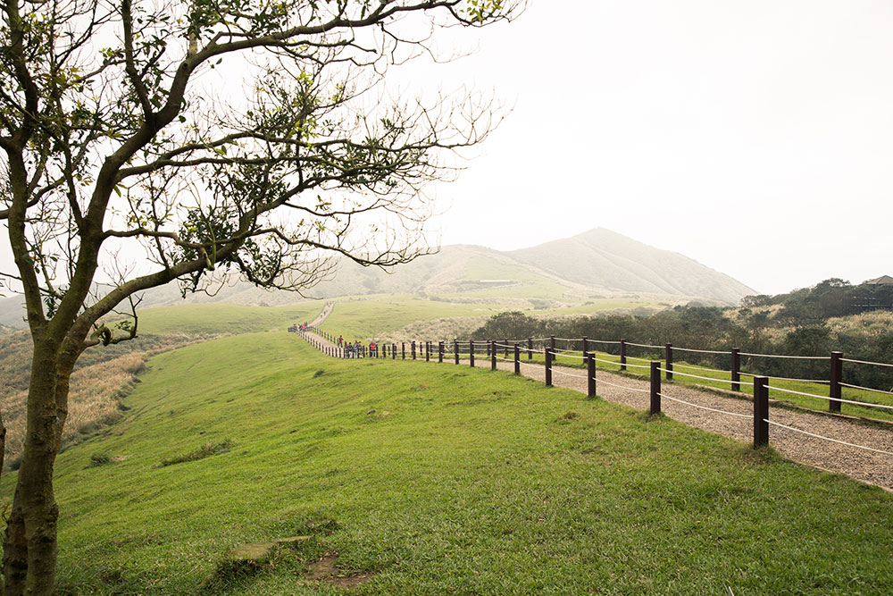 In Taiwan, American Designer Daniel DuGoff Finds Revelation