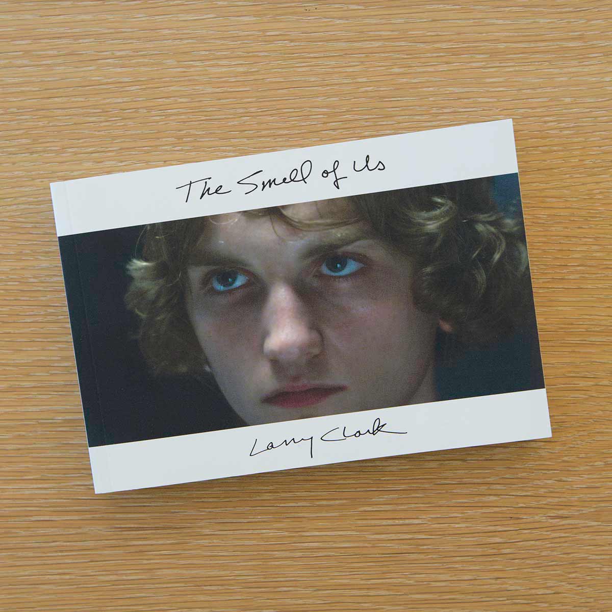 Document’s Reads: Our favorite books from the past year