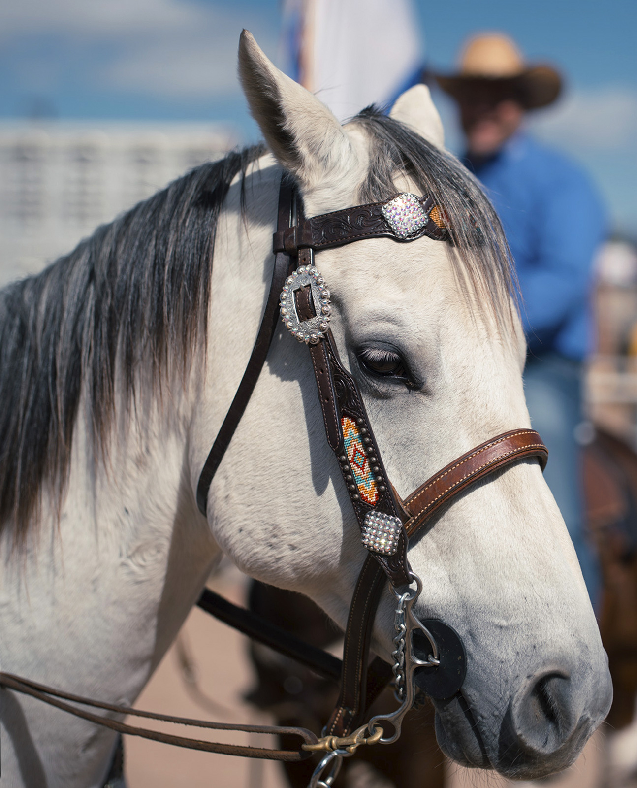 Where have all the cowboys gone? The gay rodeo inherits the American West