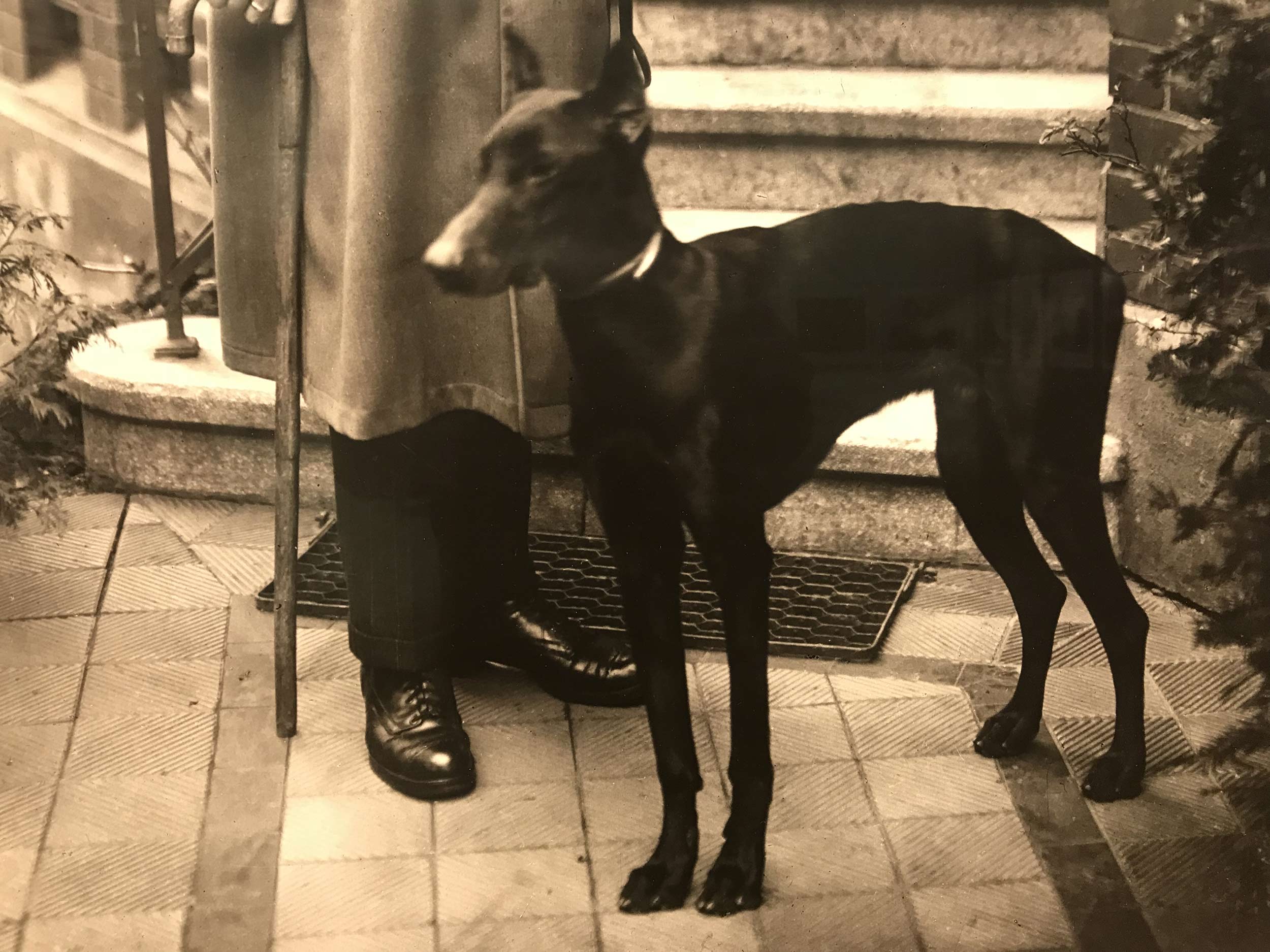 Paul Hameline casts a glittered lens towards New York City