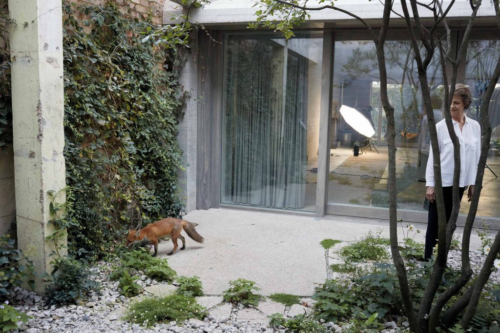 Charlotte Rampling, a Fox, and a Plate