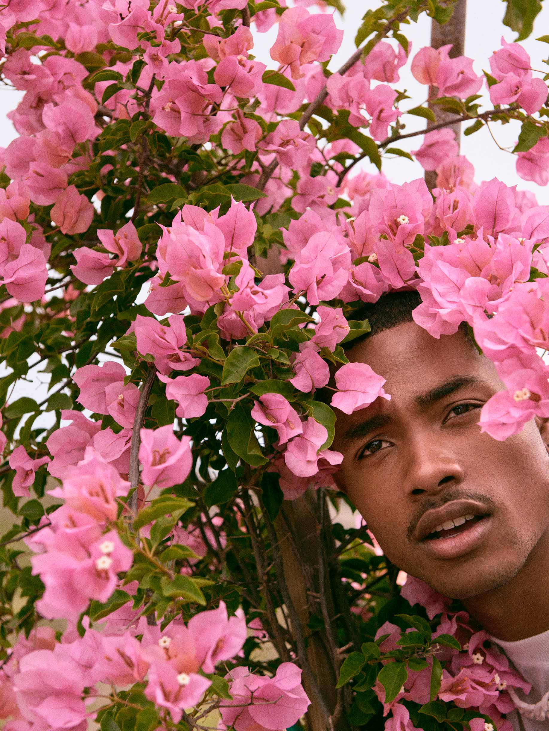 Steve Lacy, Syd, and Lakeith Stanfield by Ryan McGinley and Virgil Abloh