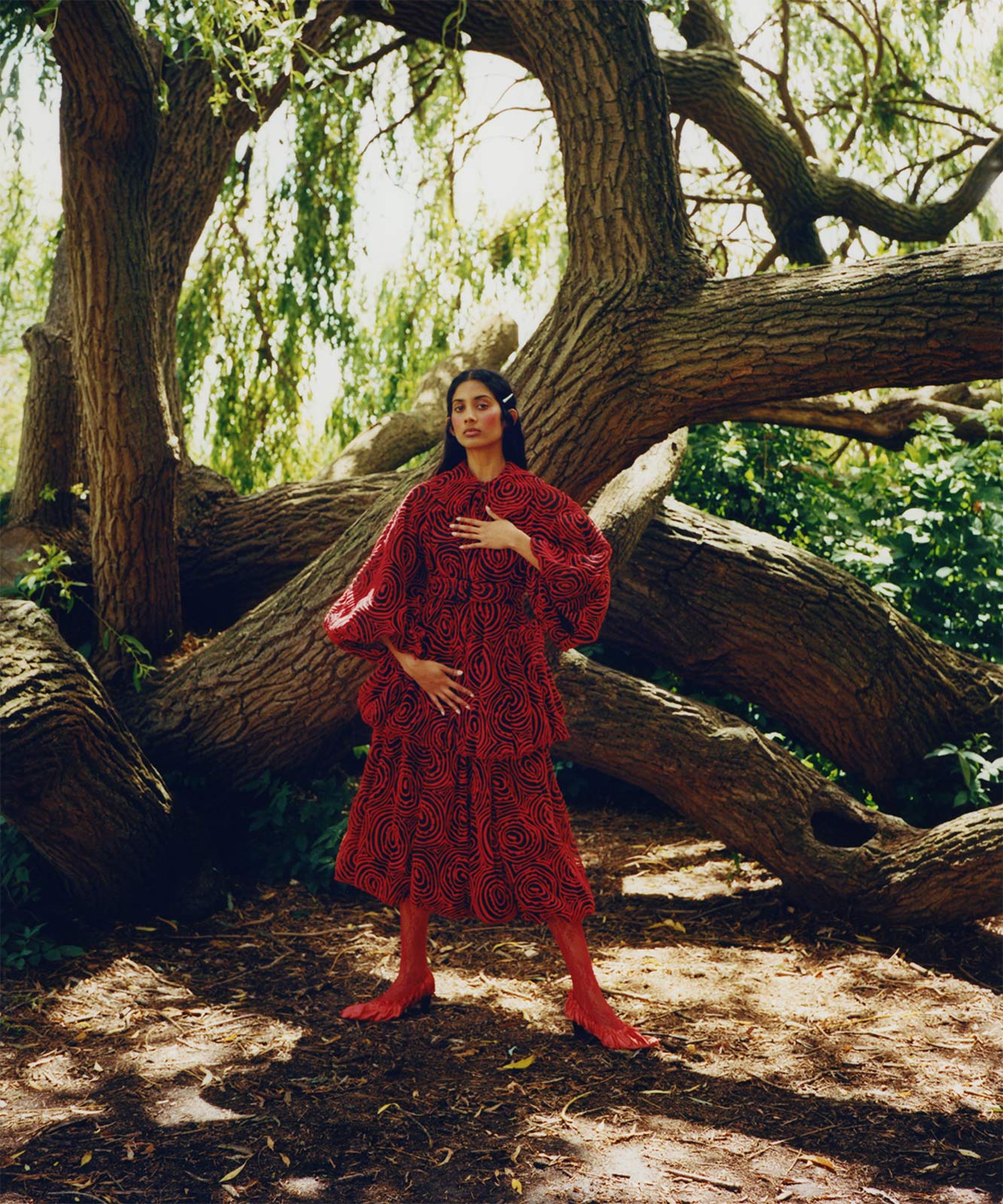 Lee Whittaker and Lilia Toncheva O’Rourke