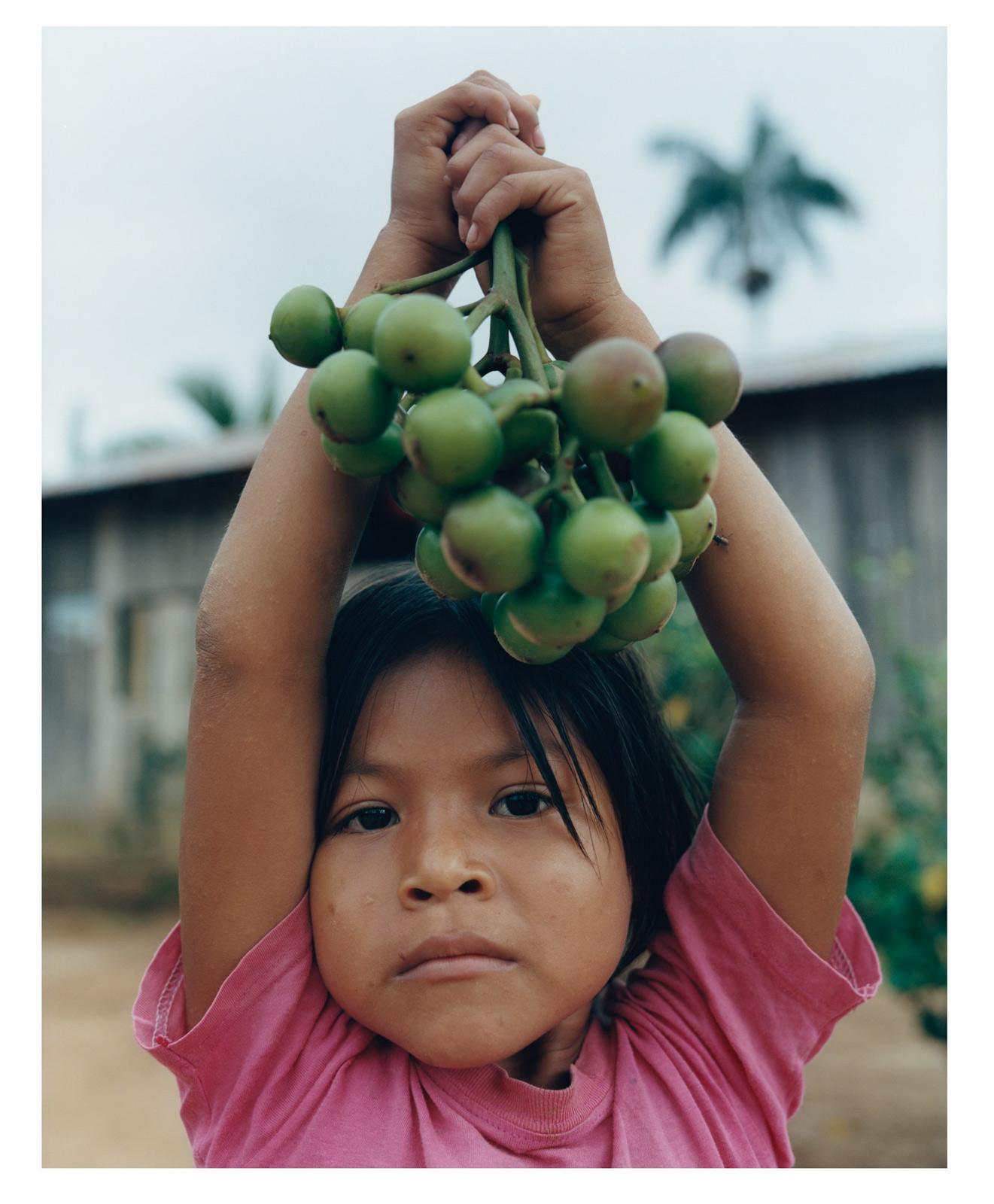 Their lands, our future: the indigenous frontline defenders of the Amazon