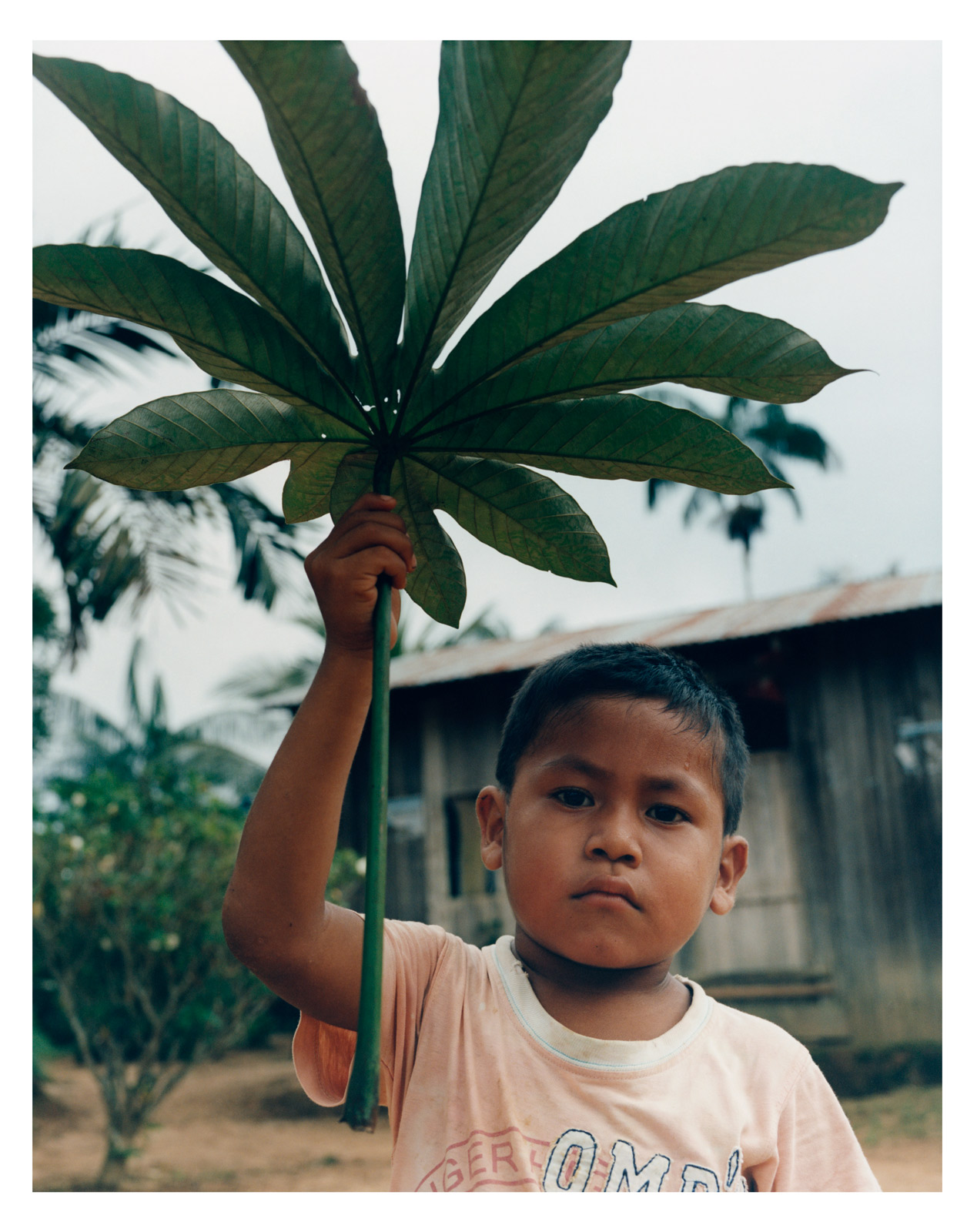 Their lands, our future: the indigenous frontline defenders of the Amazon