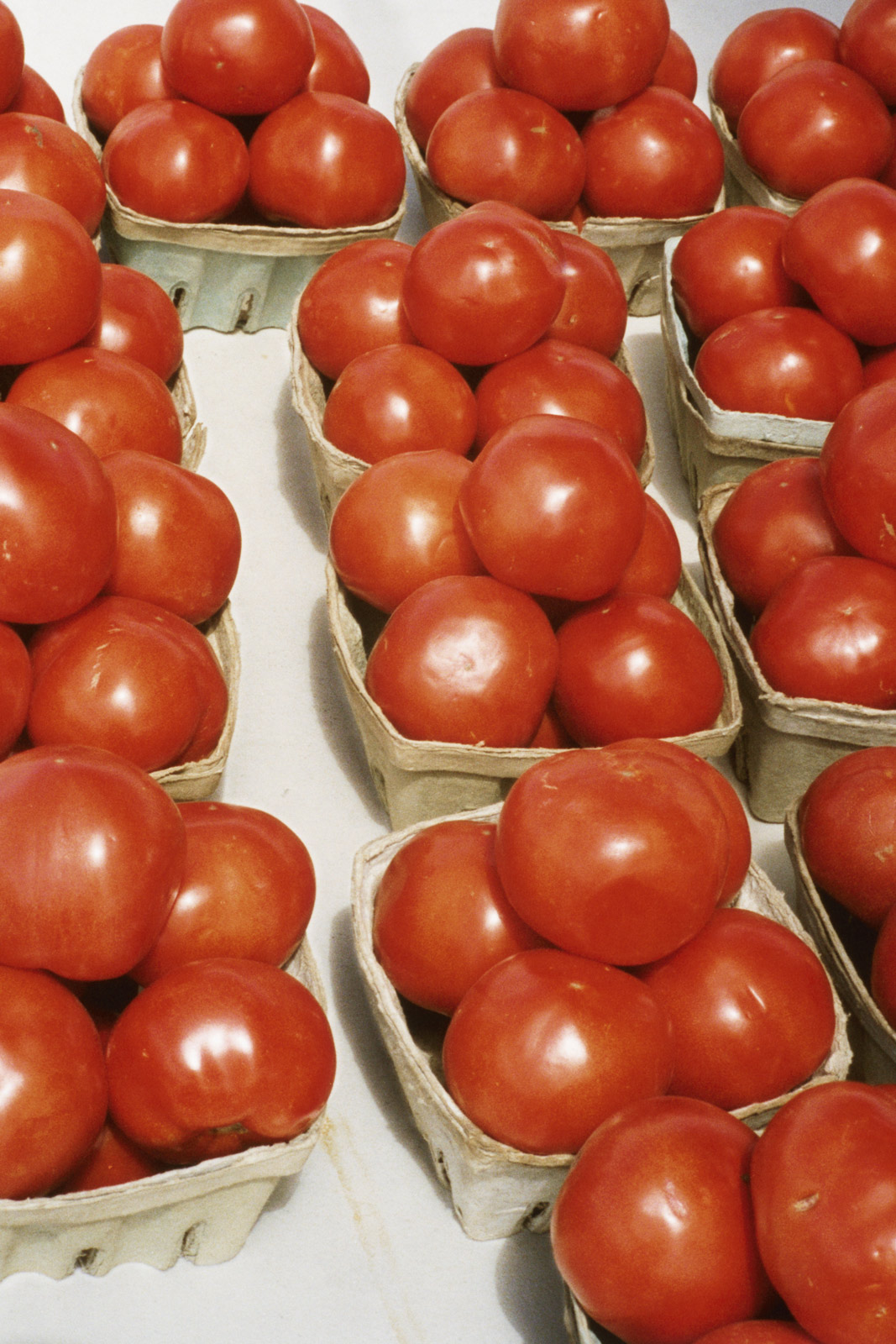 Over 7 years and 8 countries, Chris Rhodes photographed the overlooked ...