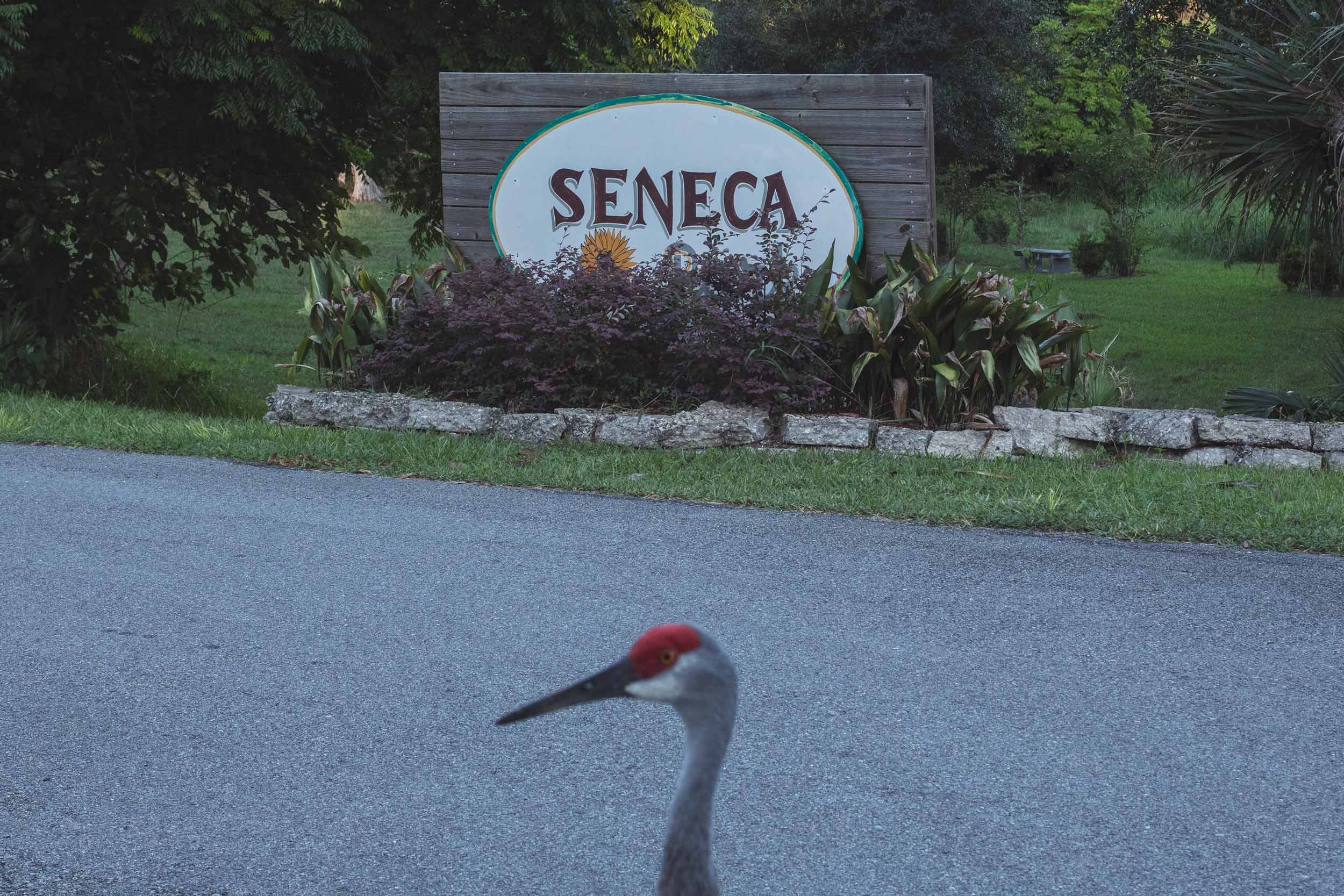 Meet the spiritual healers and mediums of Cassadaga, Florida—‘the ...