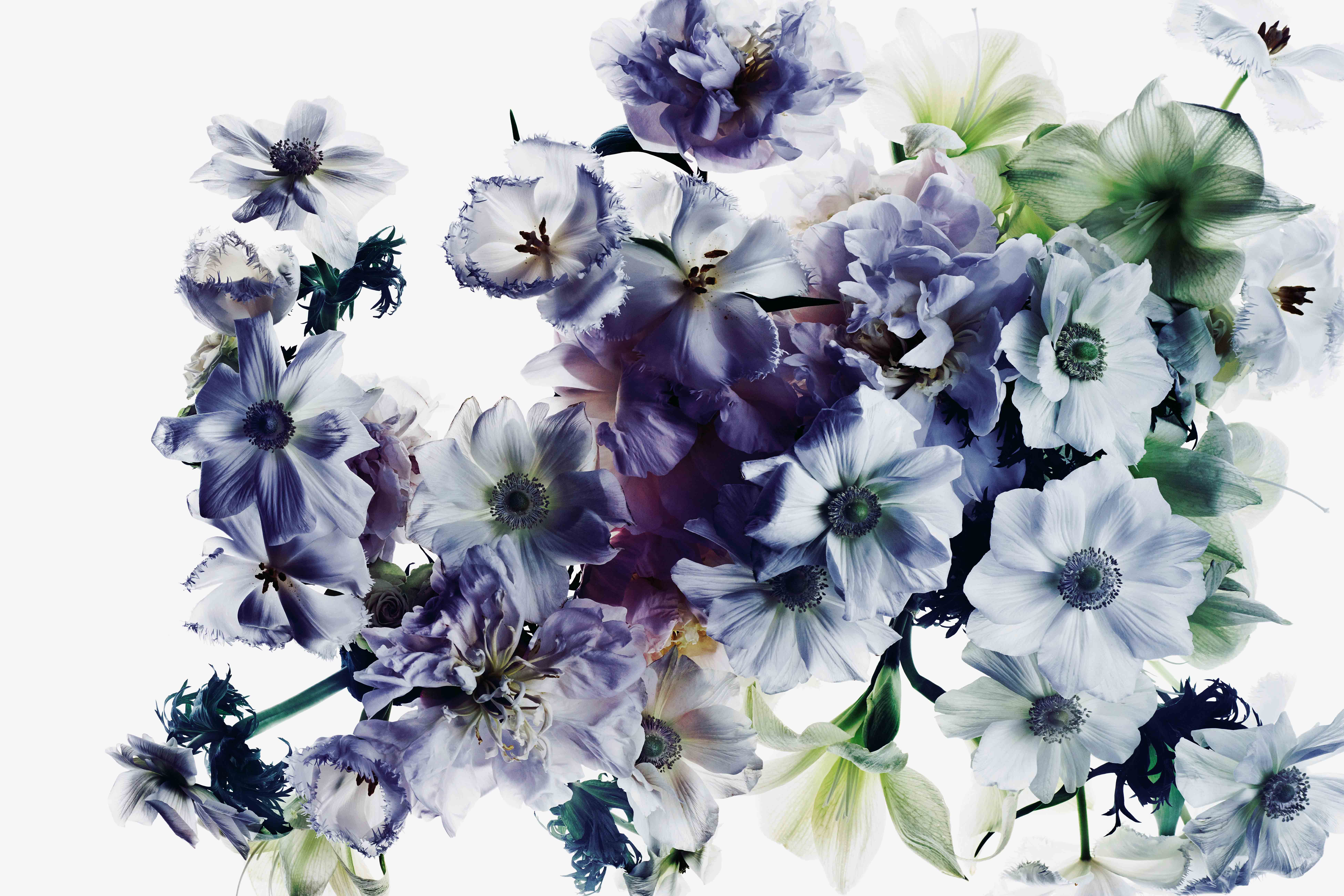 Lewis Miller’s lush floral arrangements are a tribute to the ephemeral ...