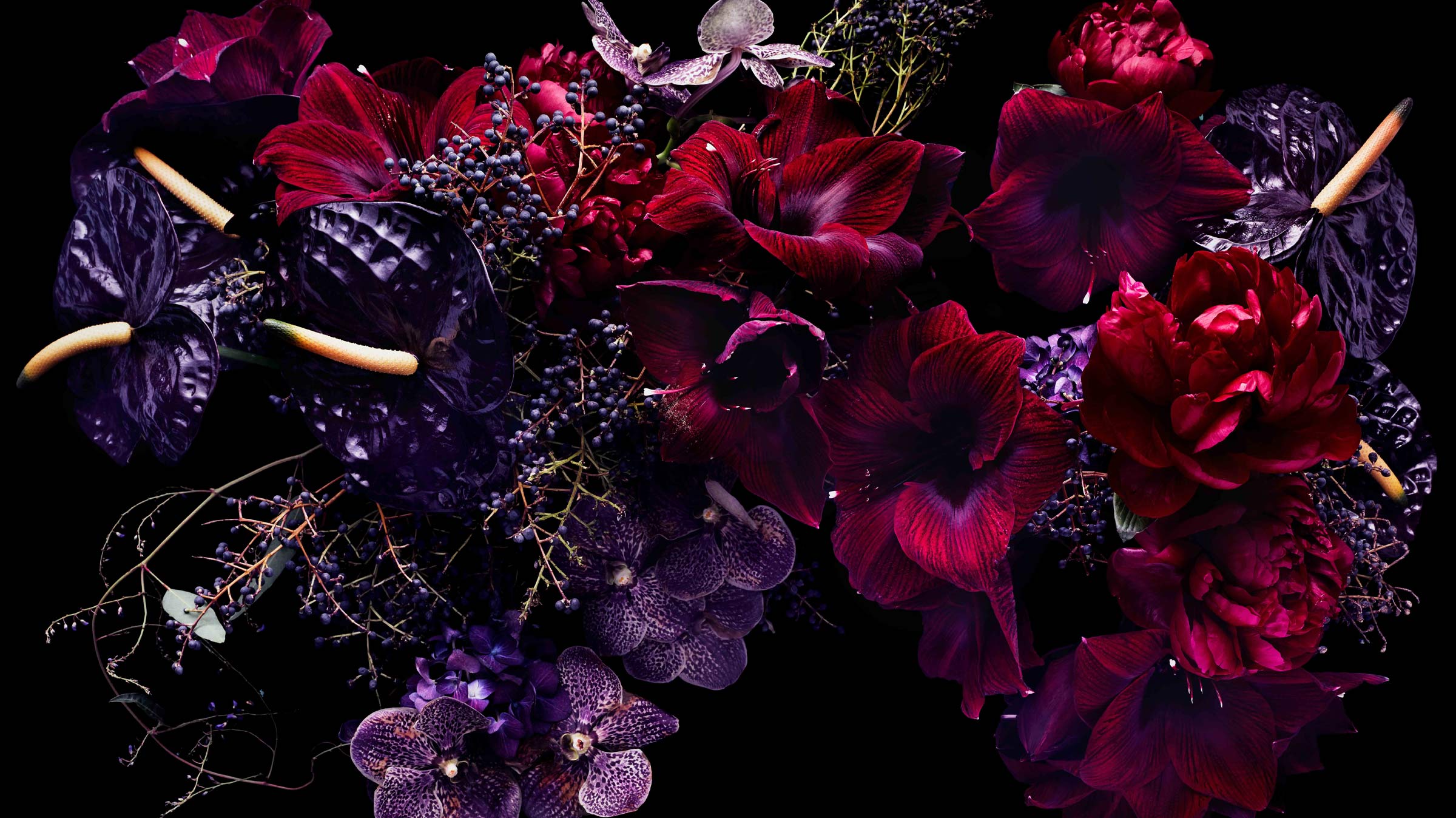 Lewis Miller's lush floral arrangements are a tribute to the ephemeral ...