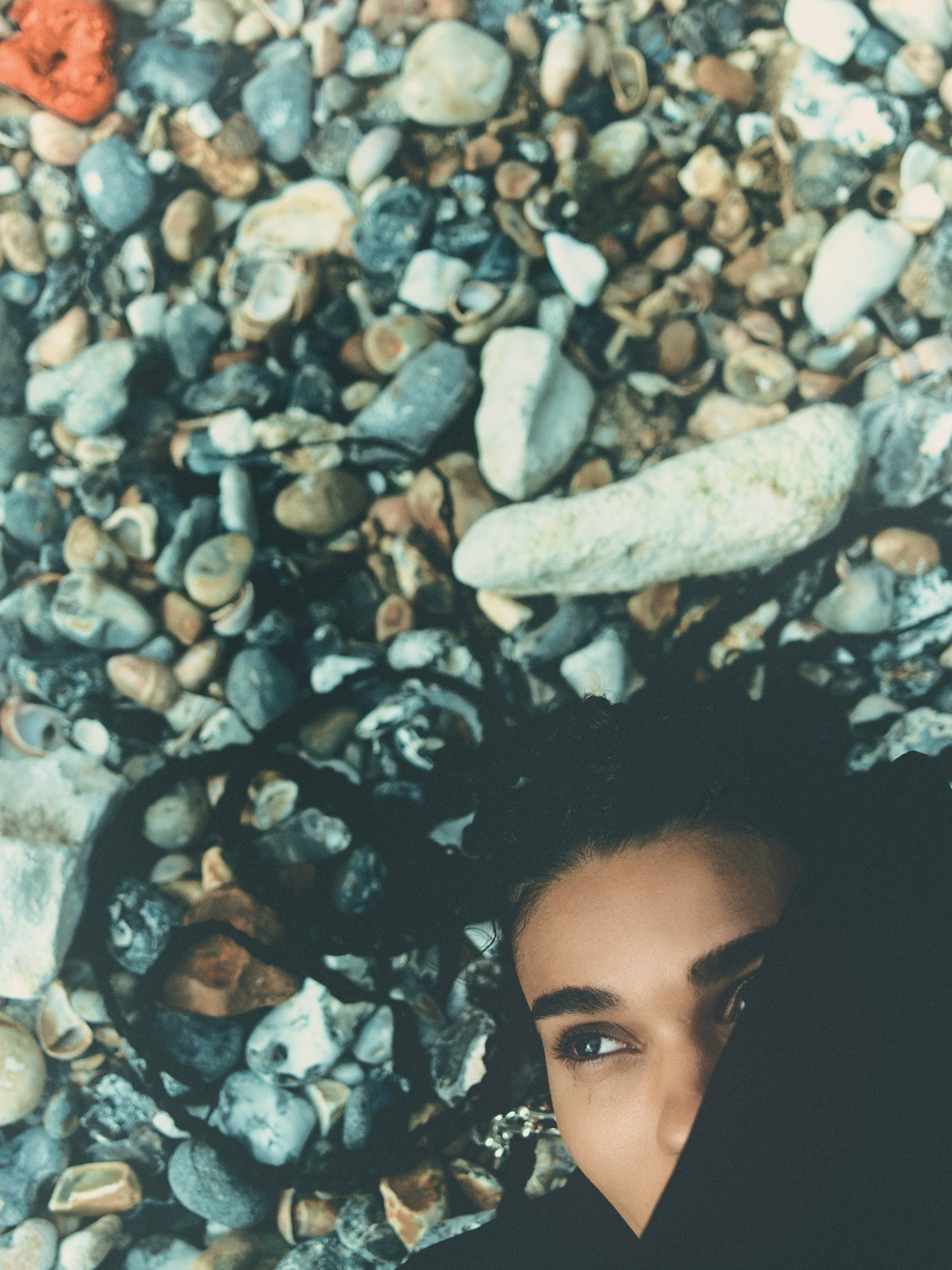 The Tenderness of the Wolves