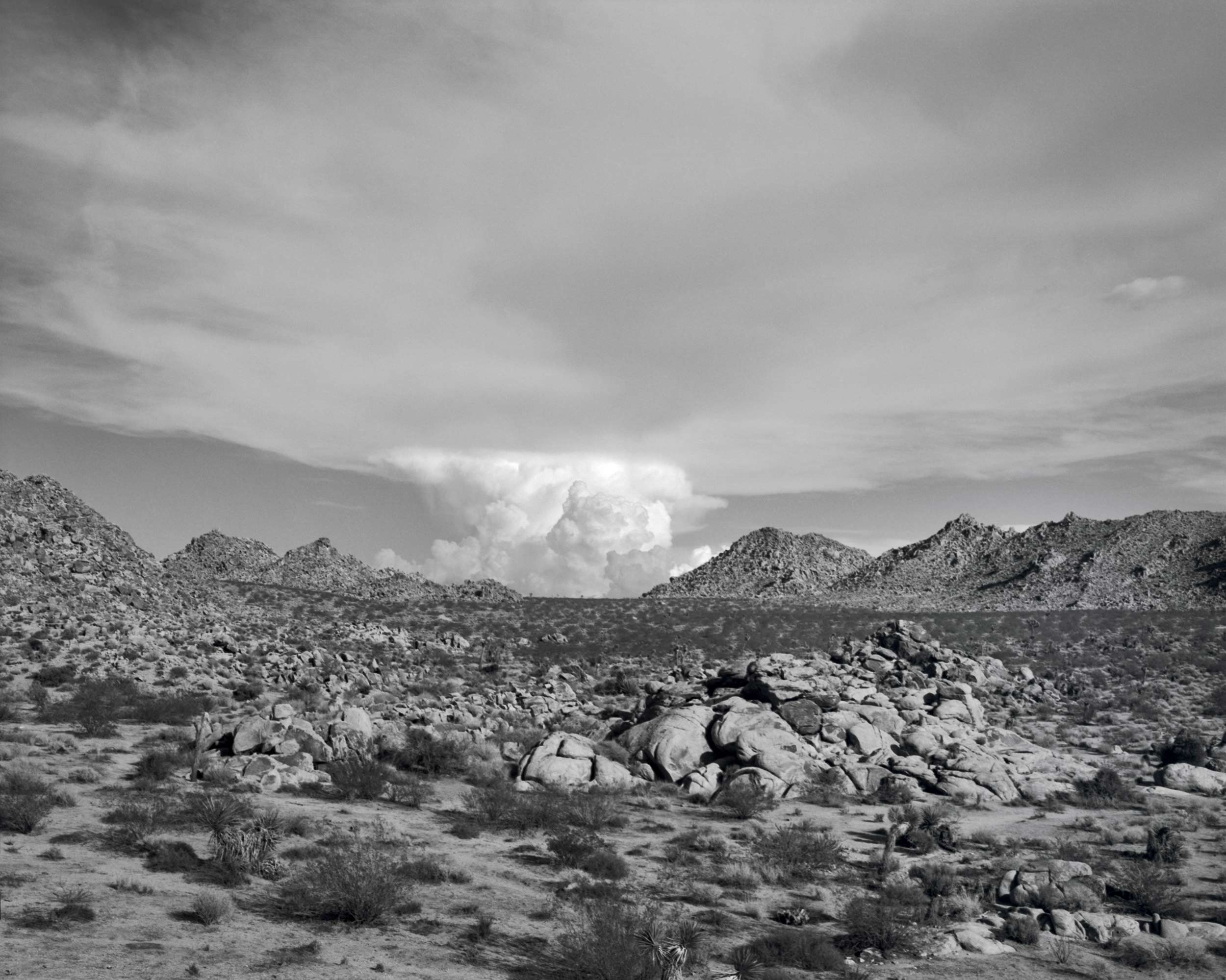 Chasing divinity in the Mojave Desert