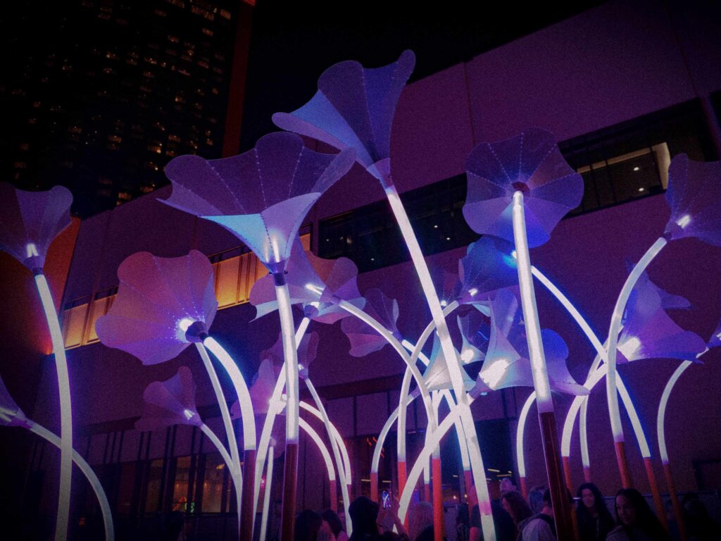 Inside TRANSFIX, the world’s largest touring immersive art experience