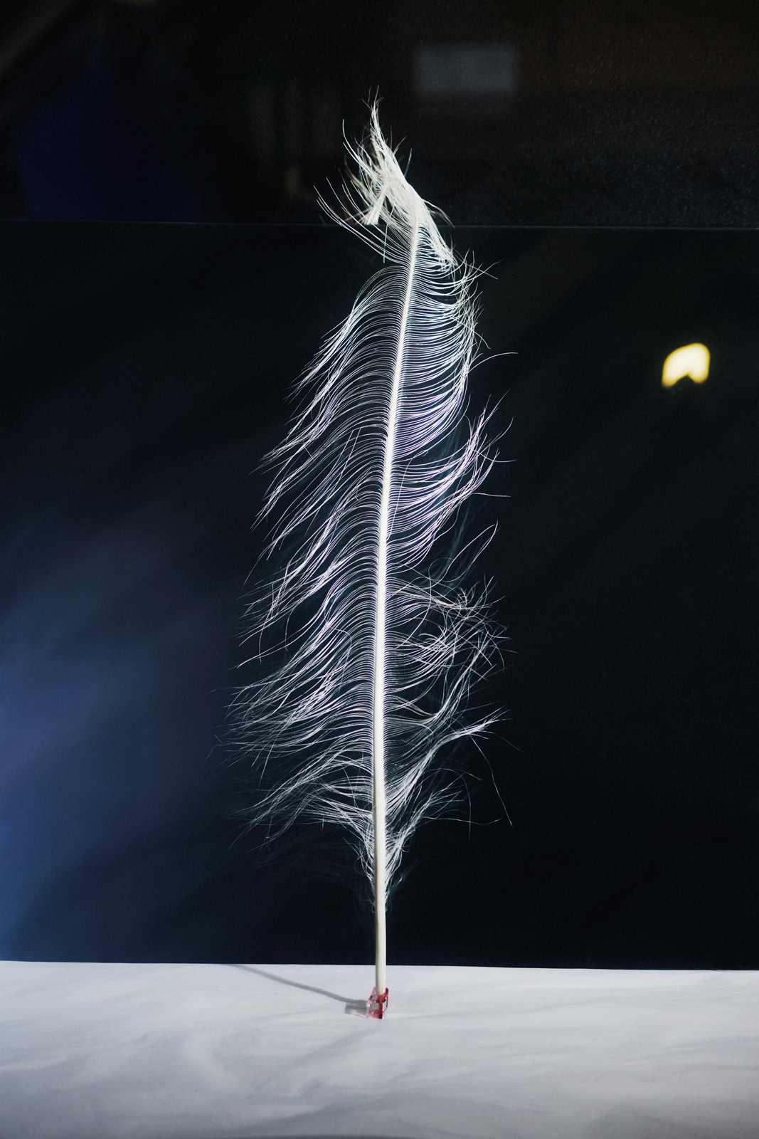 Inside London Craft Week, where tradition meets modernity