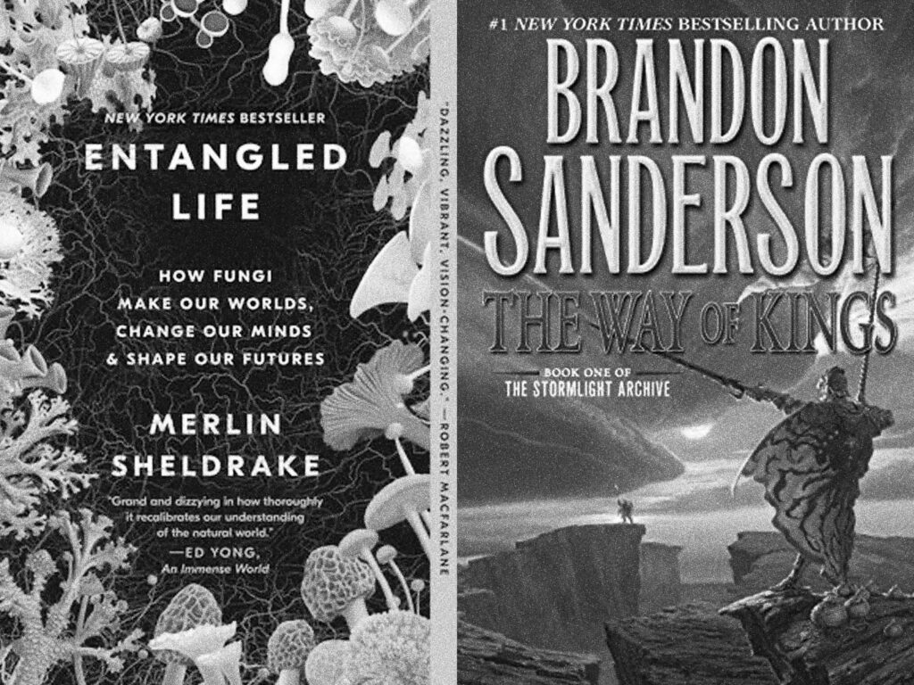 Inside Brendan Angelides’s library