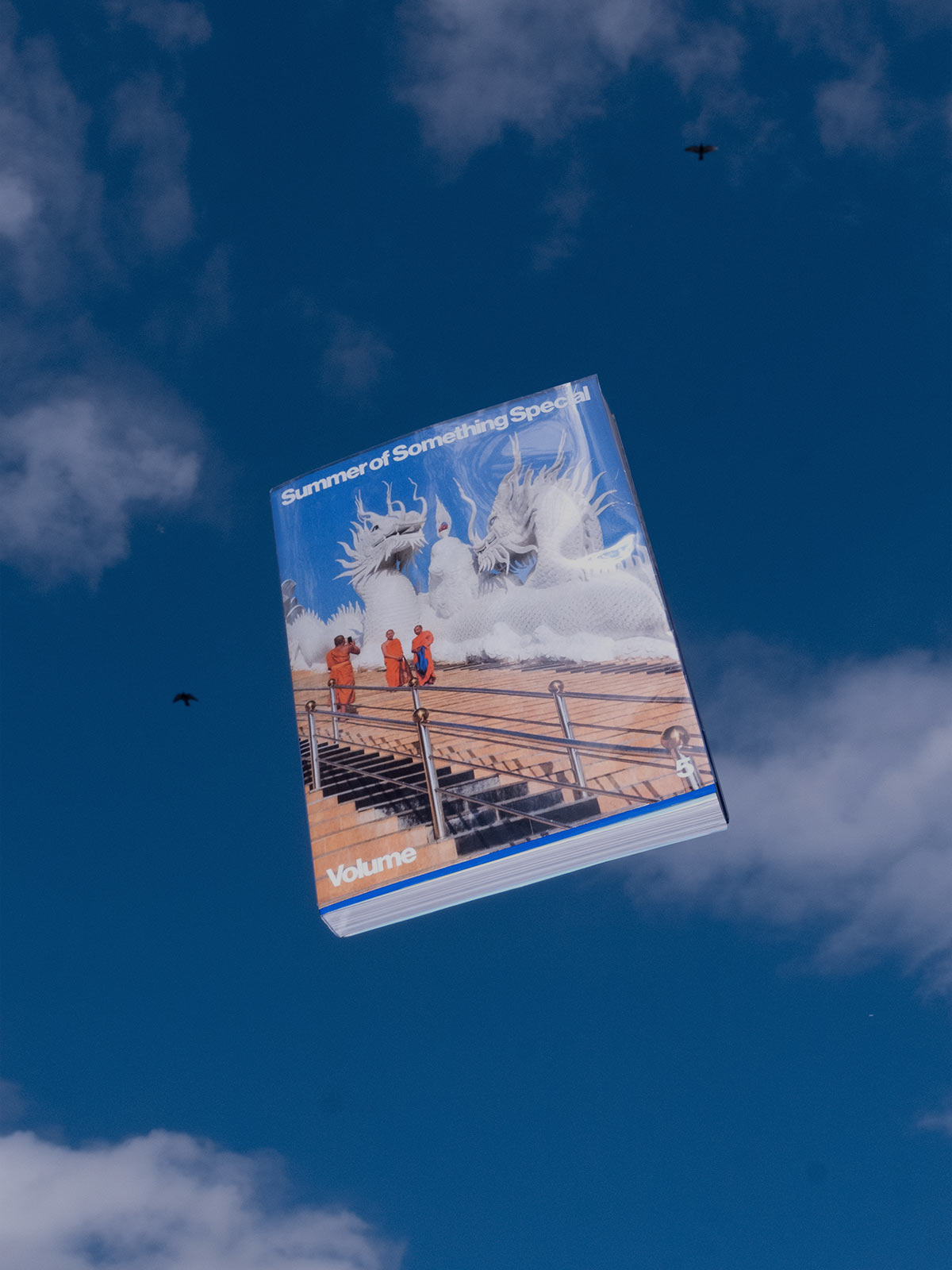 Cool Summer Pictures Tumblr