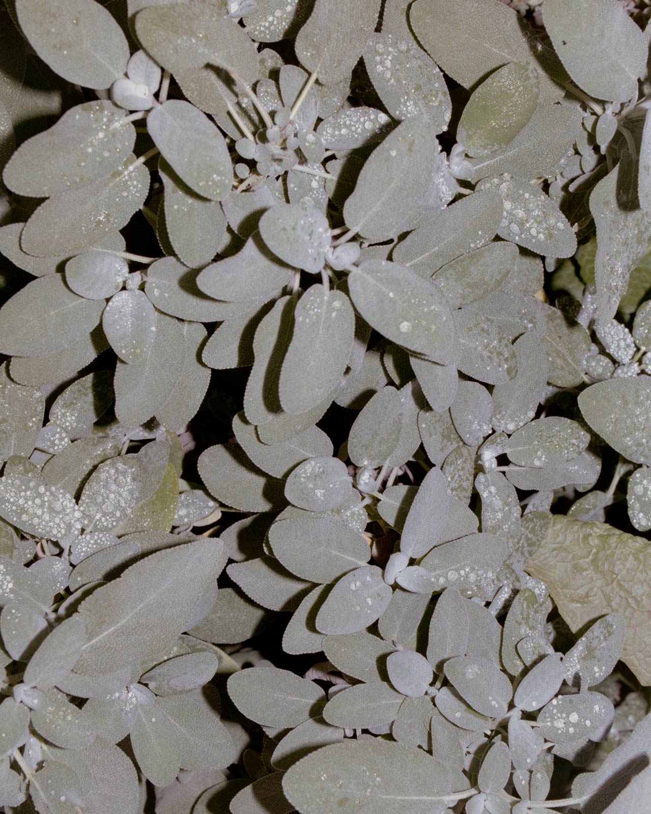 Danny Lim takes us into the unseen heart of Stockholm