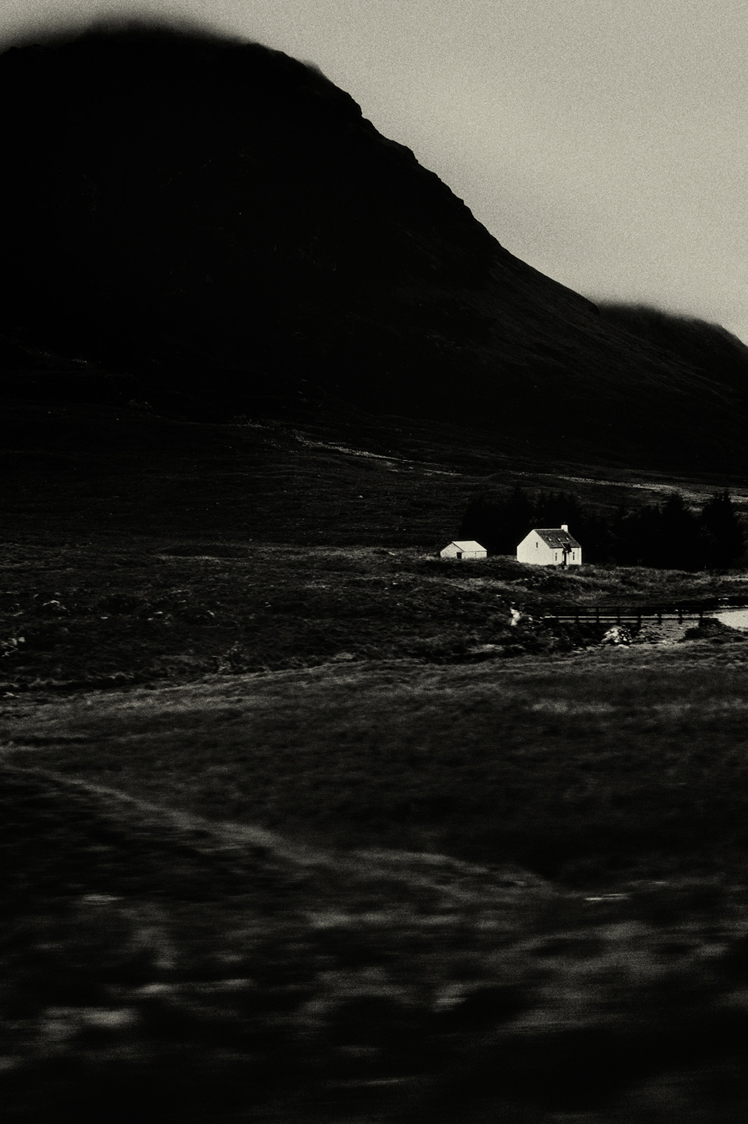 Adam Friedlander’s ‘As the Crow Flies’ explores the emotional weight of ...